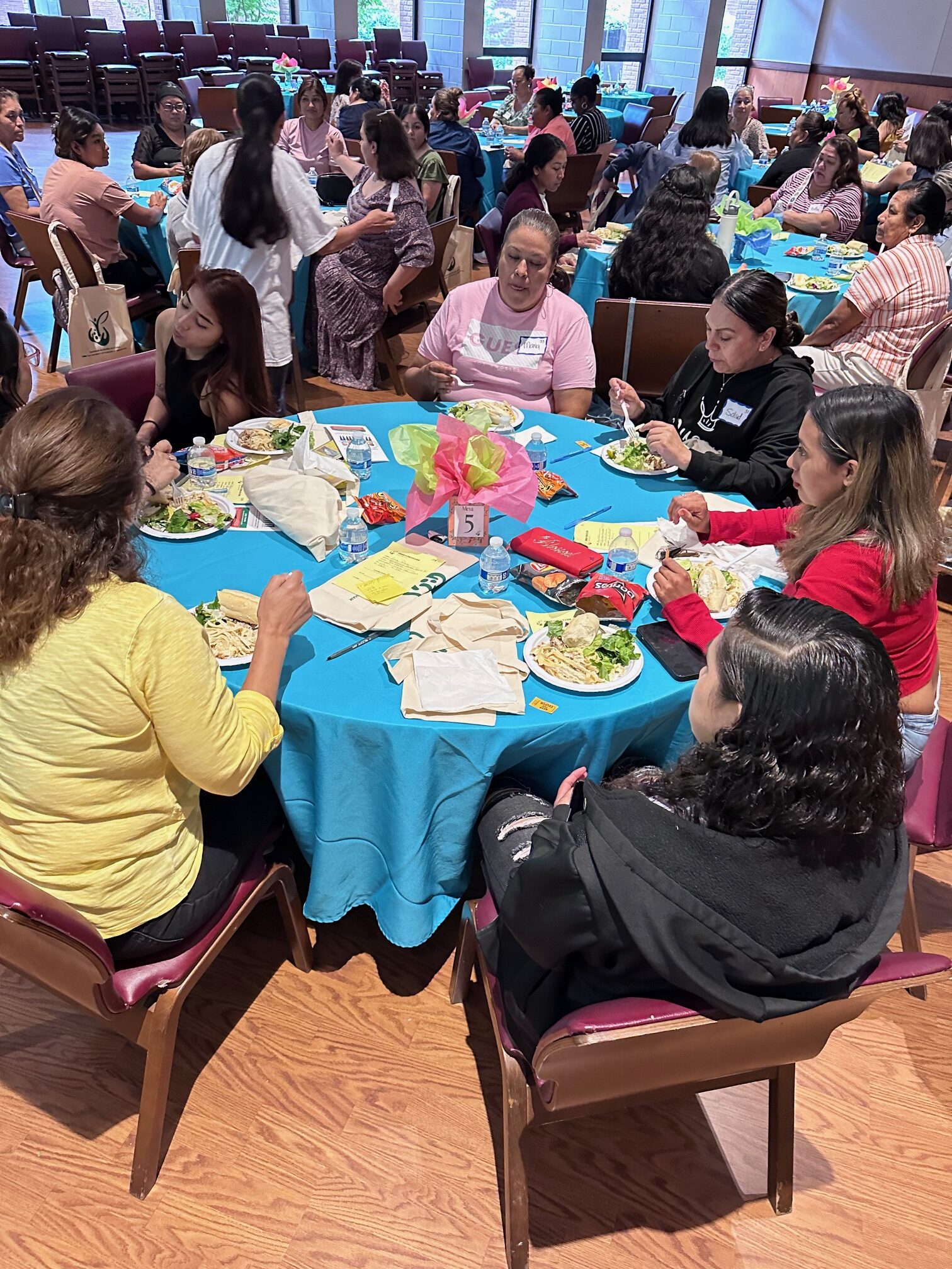 Operation Wipe Out - OPERATION WIPE OUT